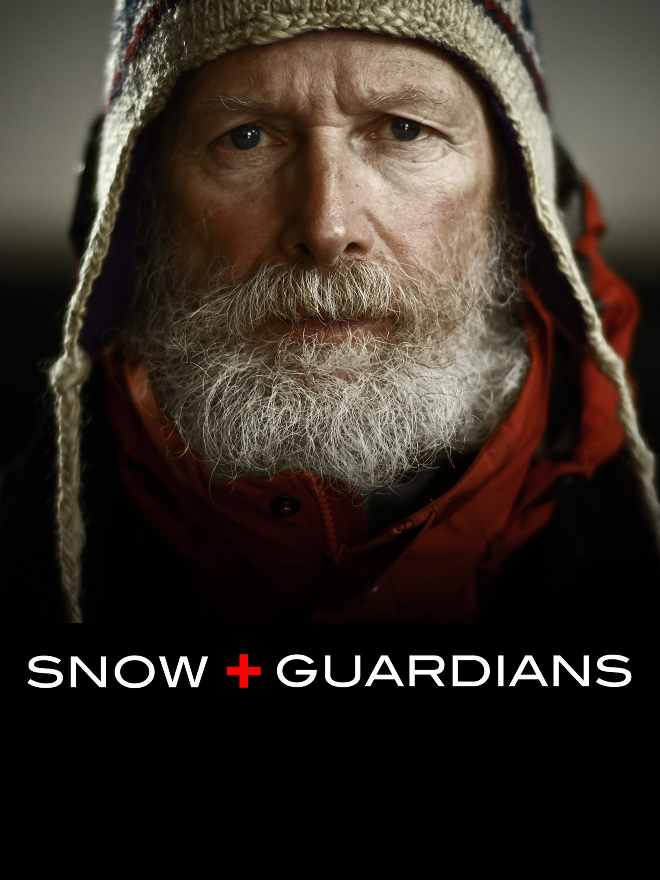 Snow Guardians - Rotten Tomatoes