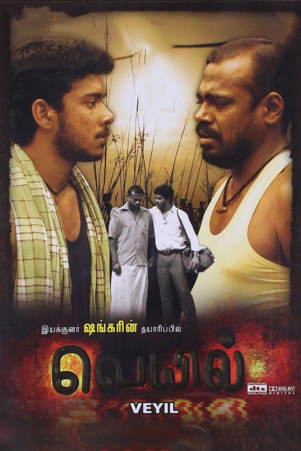 Veyil - Rotten Tomatoes