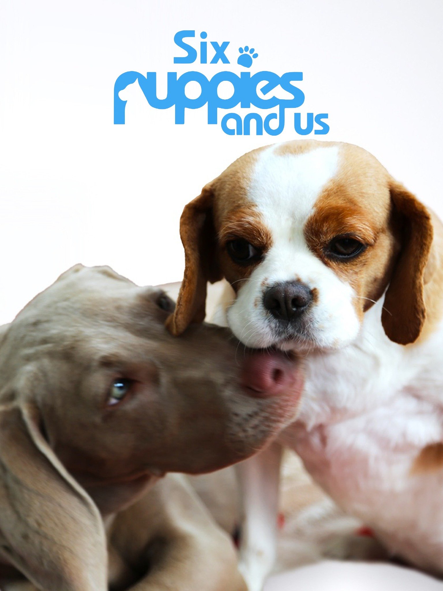 Six Puppies and Us - Rotten Tomatoes