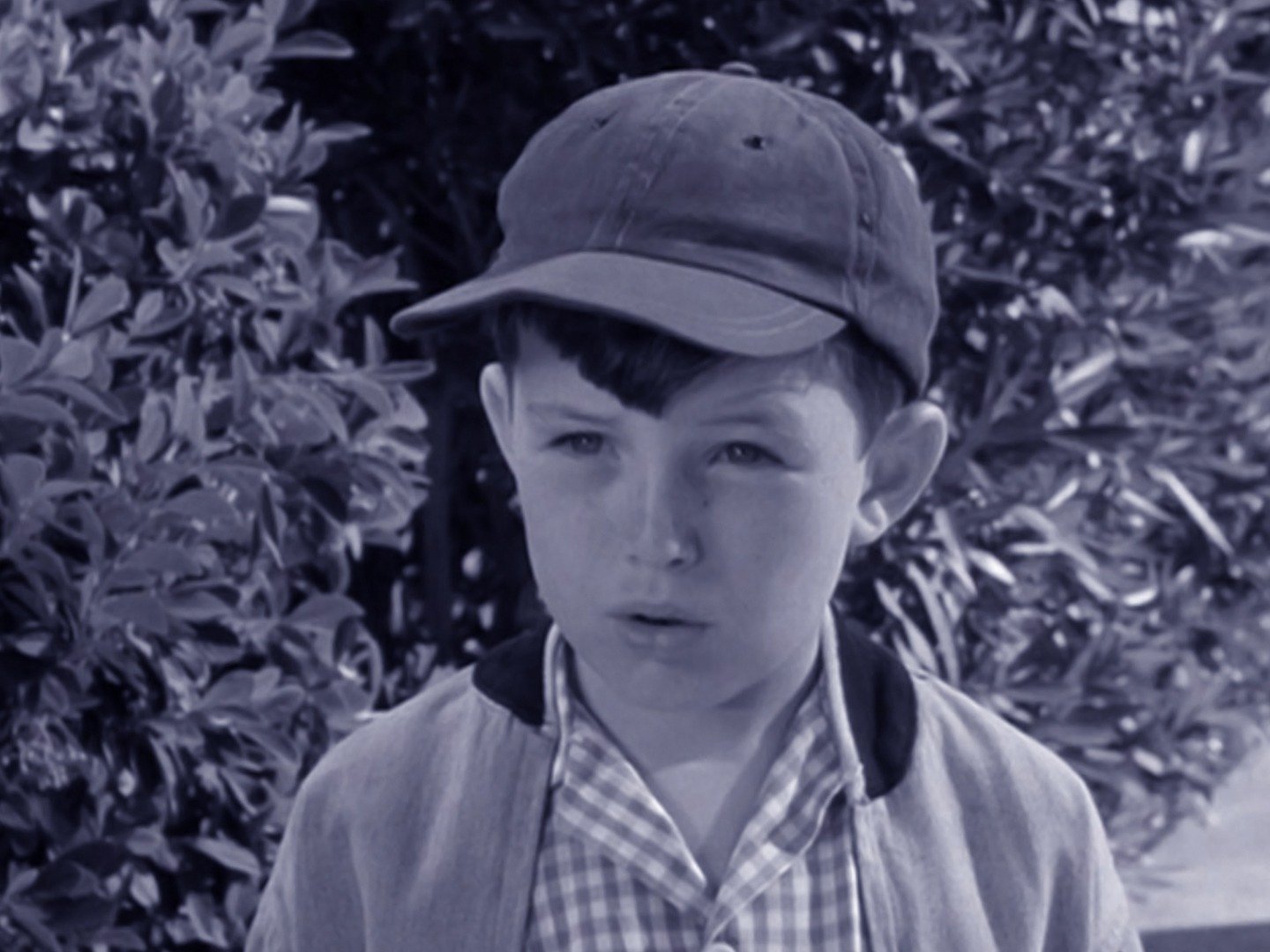 Buddy Hart Leave It To Beaver