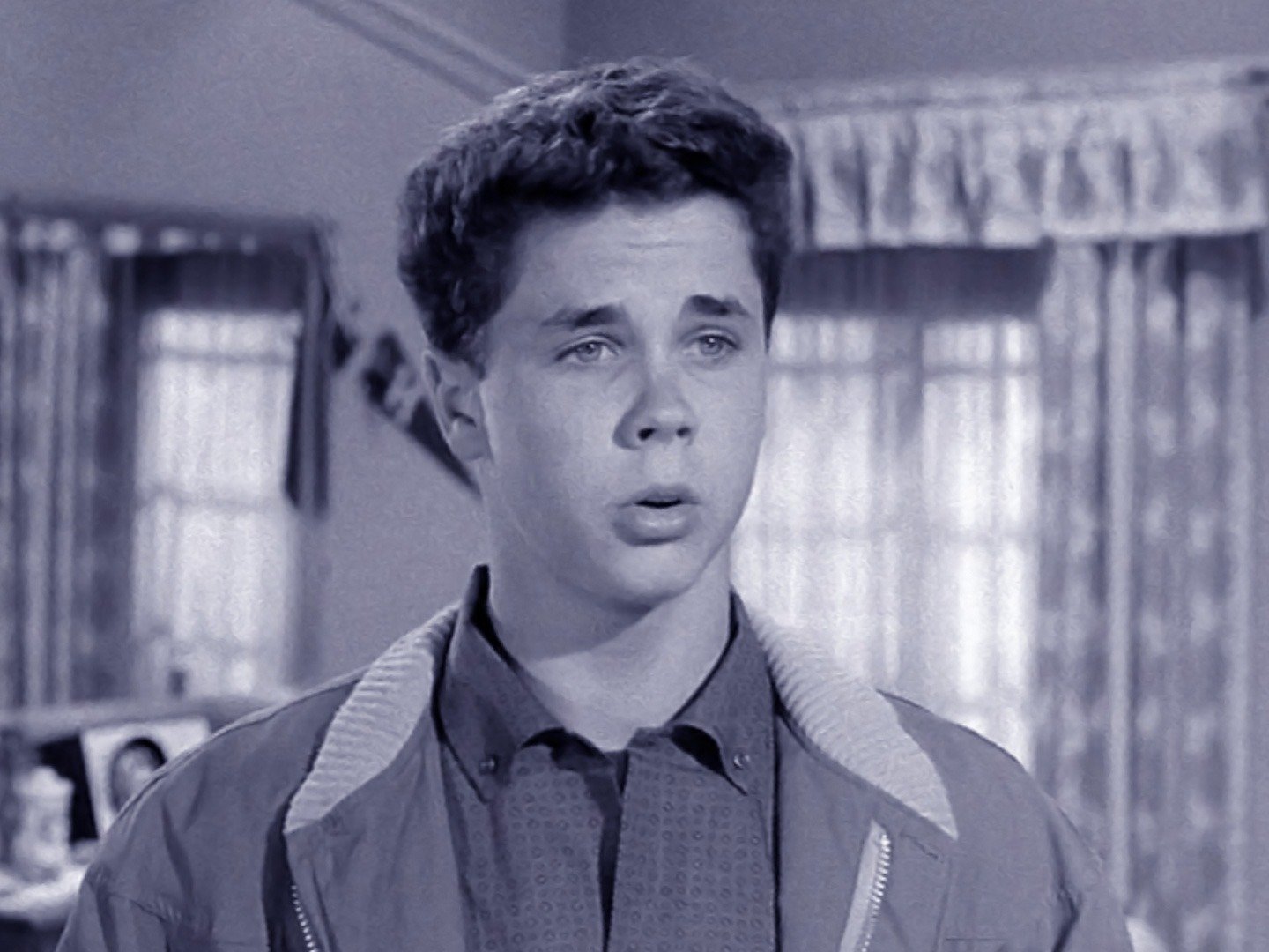 Leave It To Beaver Wally Hair