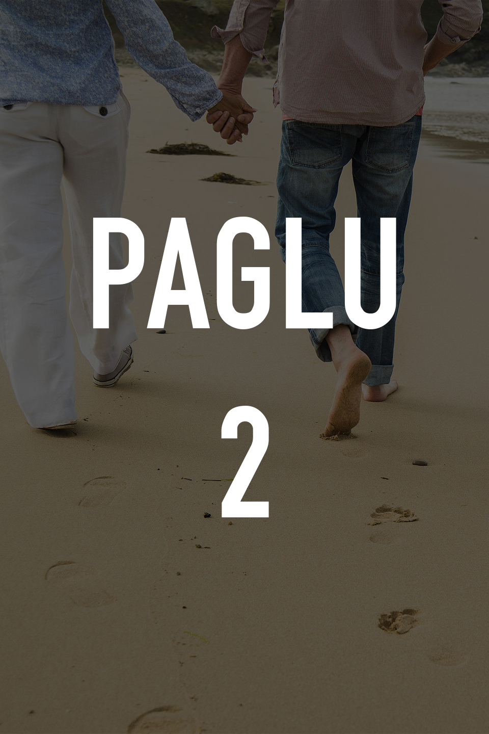 Paglu 2 Poster