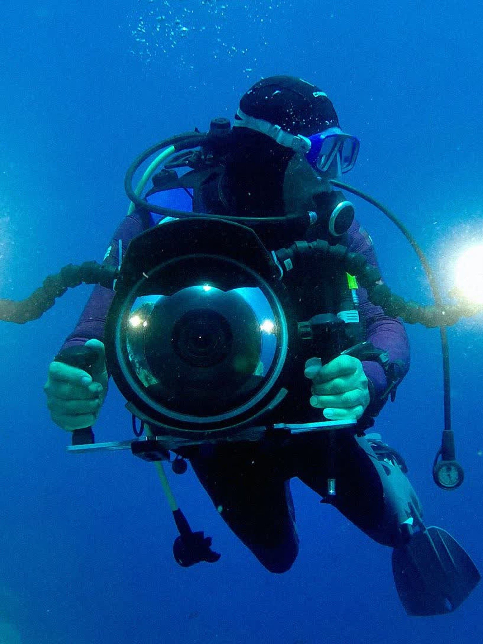 Rock-Throwing Rampage Pictures - Rotten Tomatoes