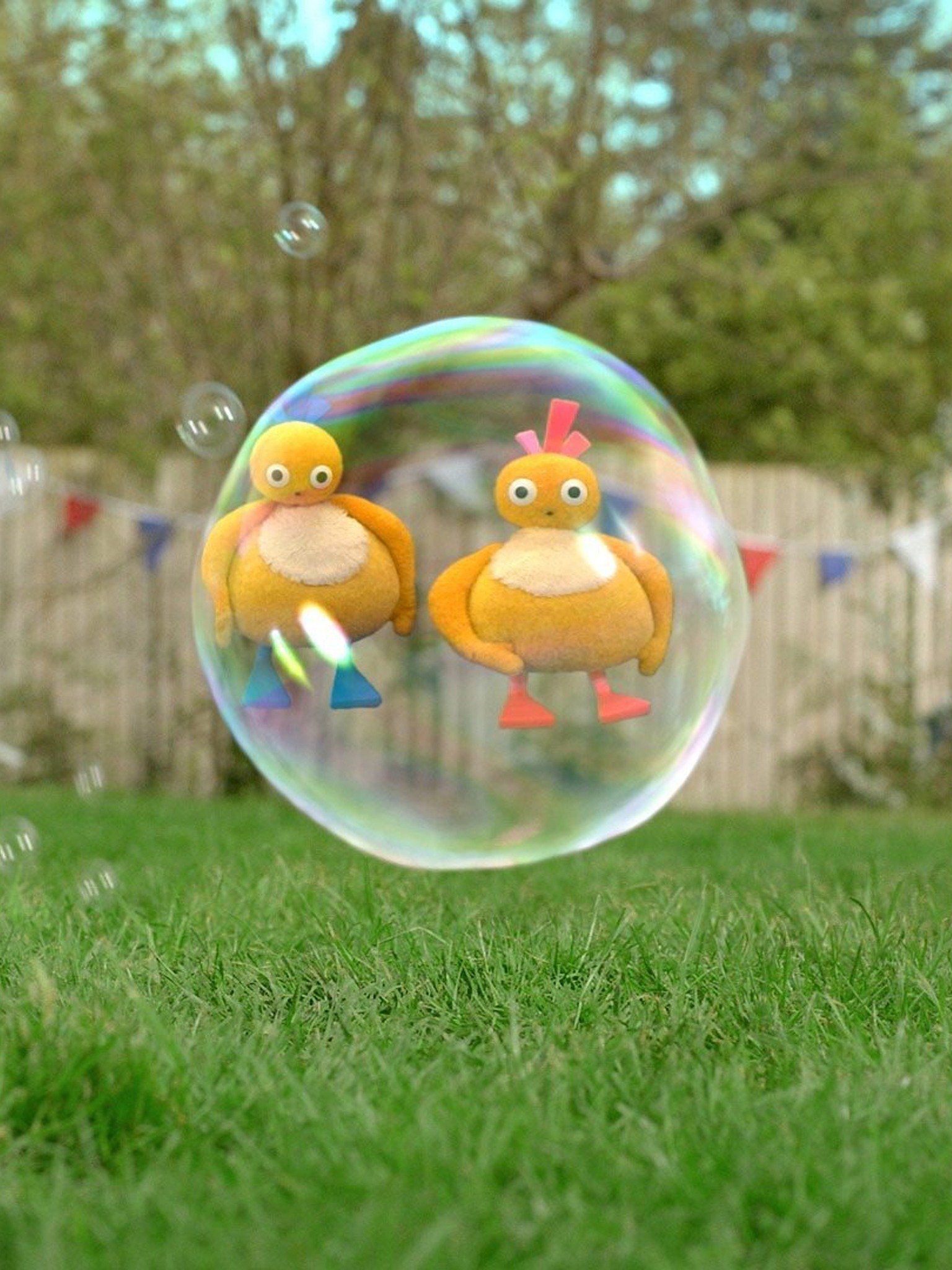 Pop Pictures - Rotten Tomatoes