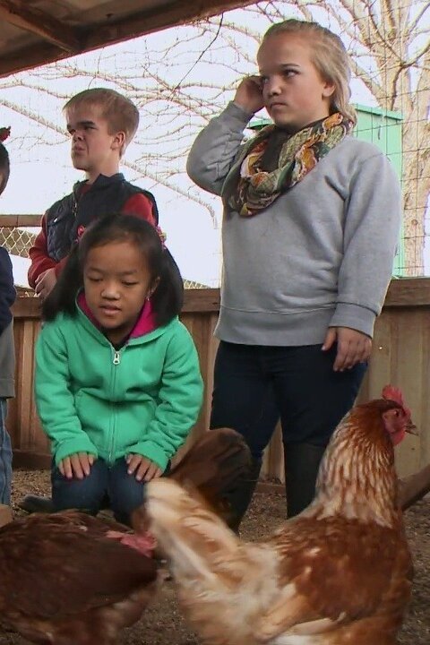 The Chicken Race Pictures - Rotten Tomatoes