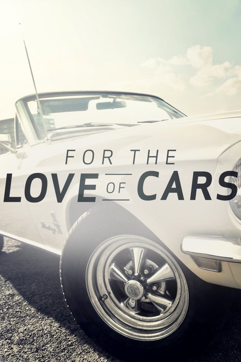 For the Love of Cars: Season 2 Pictures - Rotten Tomatoes