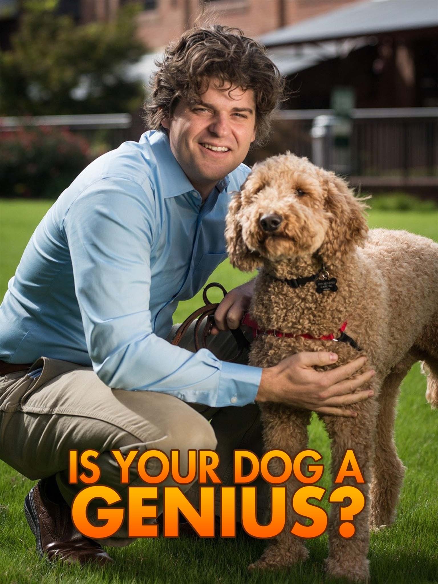 Is Your Dog a Genius? - Rotten Tomatoes