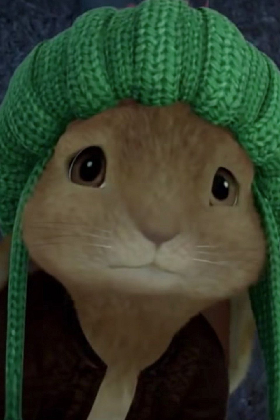 The Racing Rabbit; Fred Snail Pictures - Rotten Tomatoes