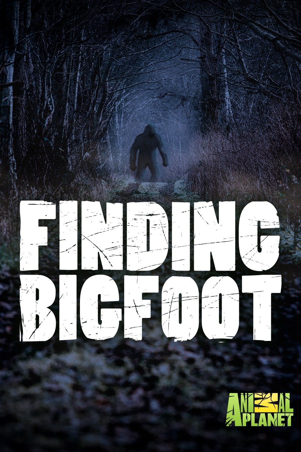 Finding Bigfoot - Rotten Tomatoes