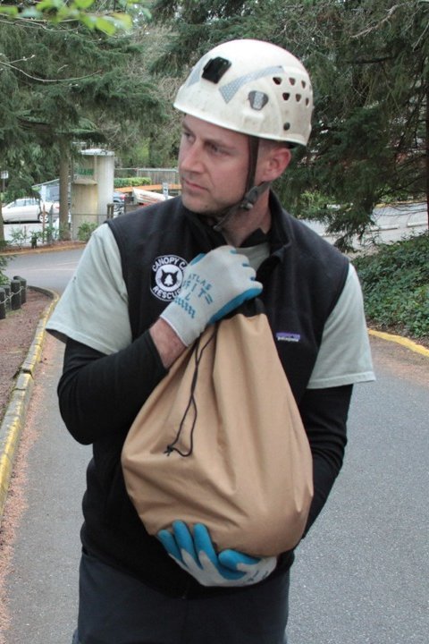 Cat Scratch Fever Pictures - Rotten Tomatoes