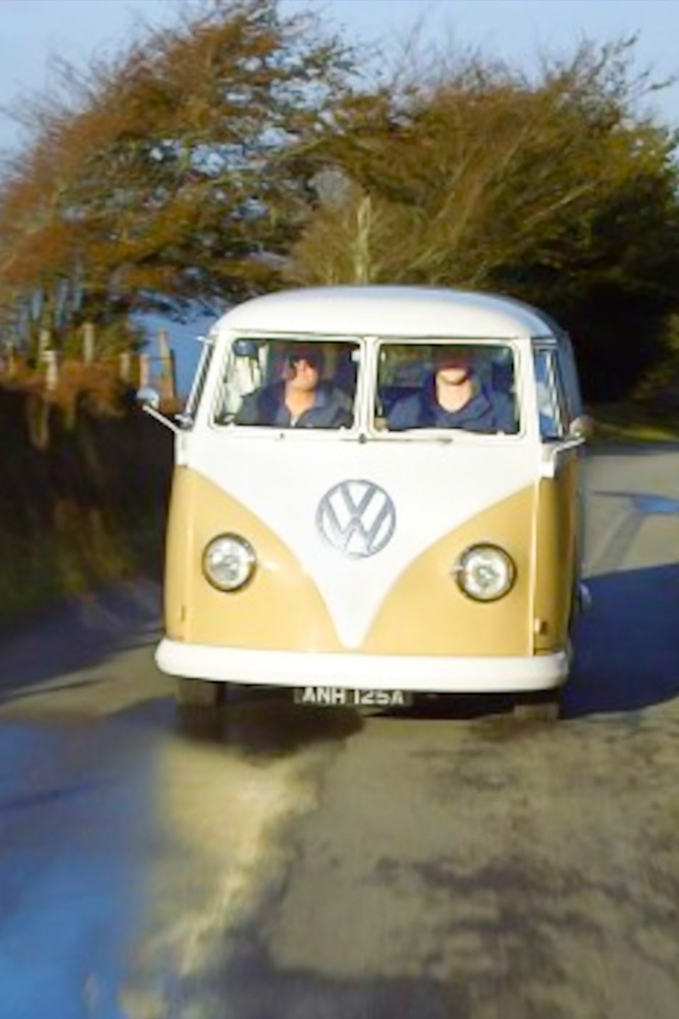 Aircooled Pictures - Rotten Tomatoes