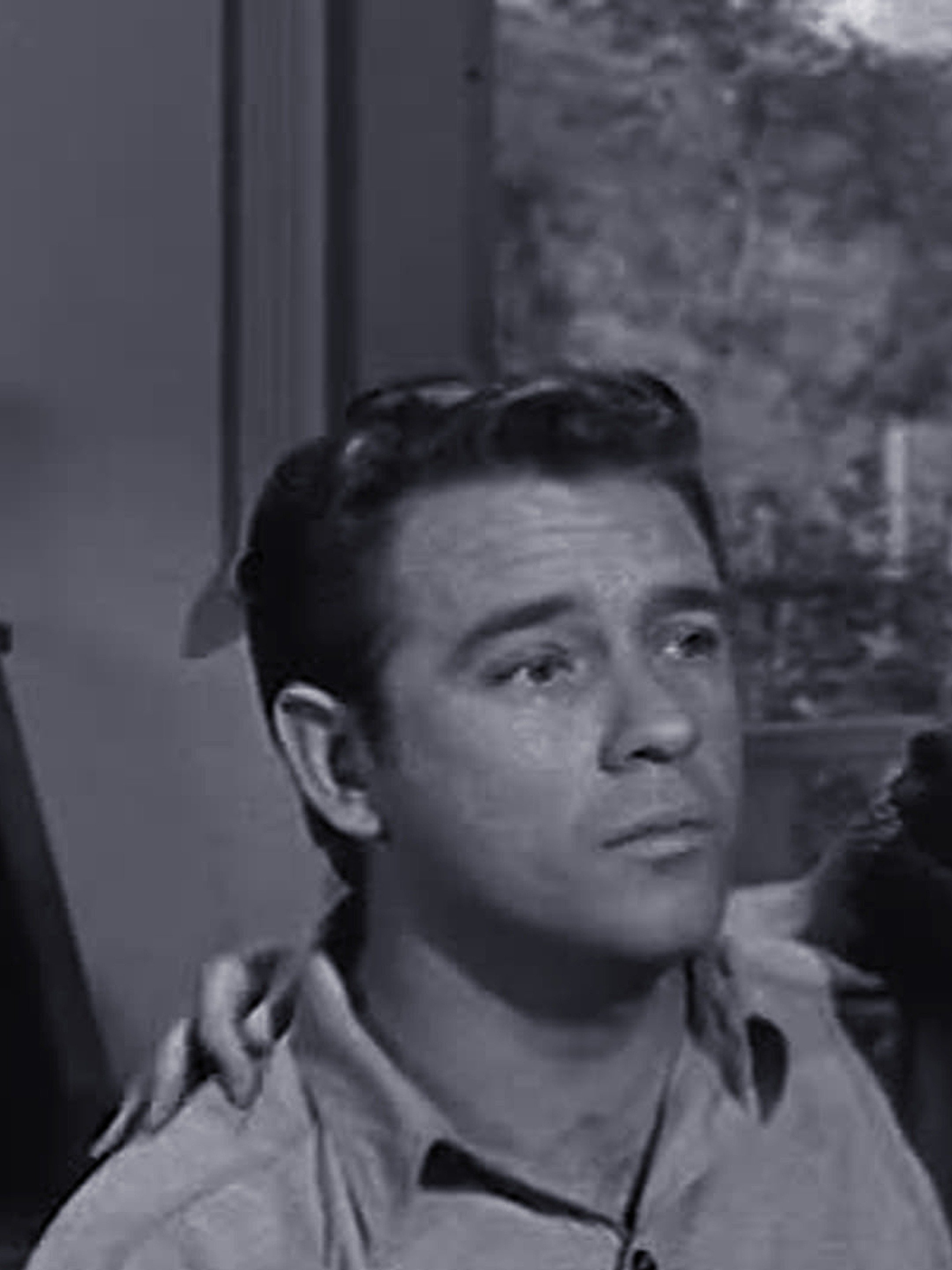 The McCoys Visit Hollywood Pictures - Rotten Tomatoes