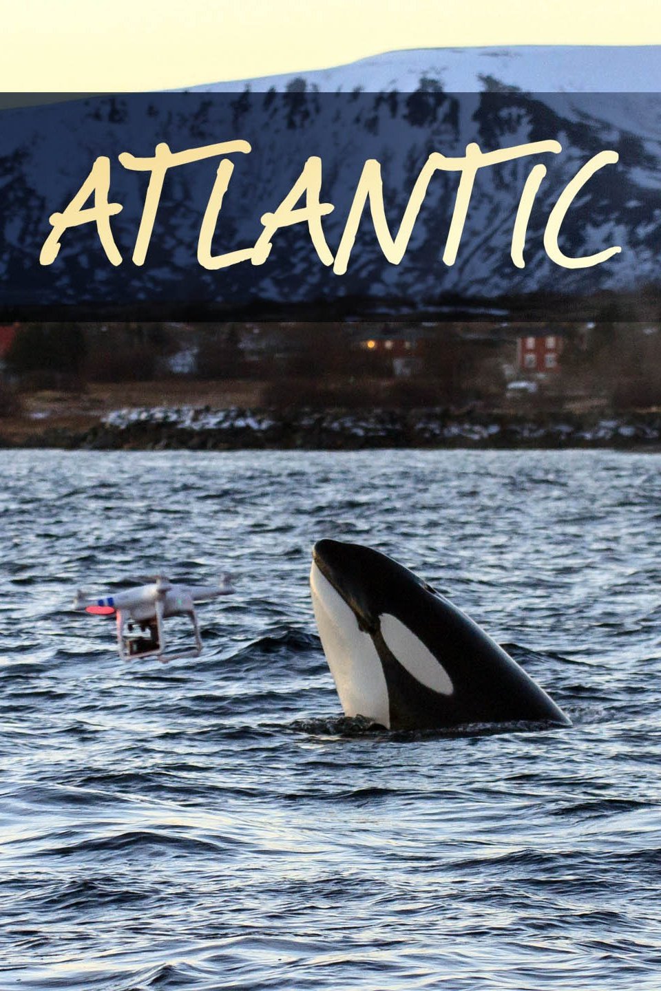 Atlantic - Rotten Tomatoes