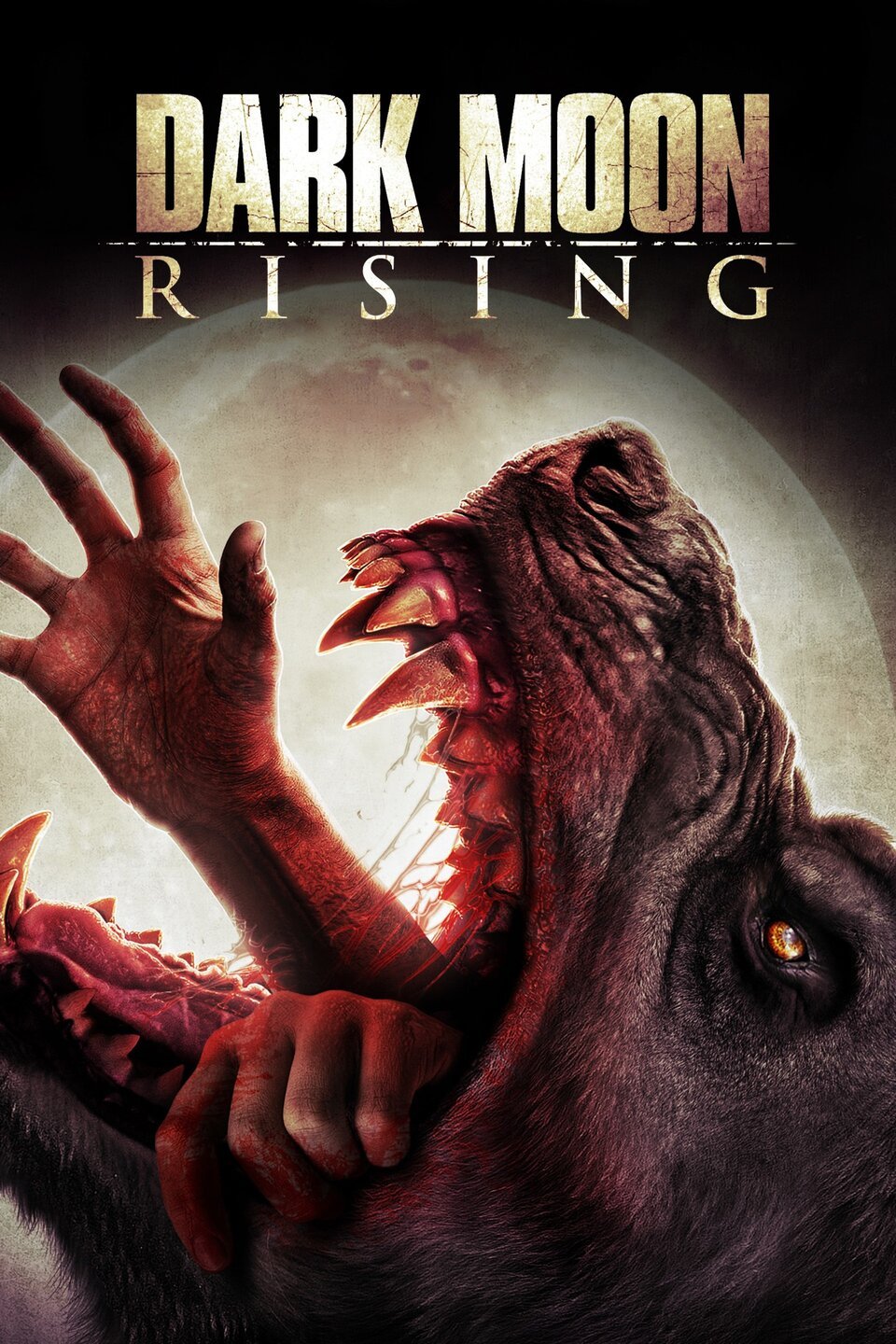 Dark Moon Rising - Rotten Tomatoes