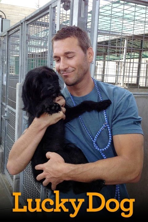 Lucky Dog - Rotten Tomatoes