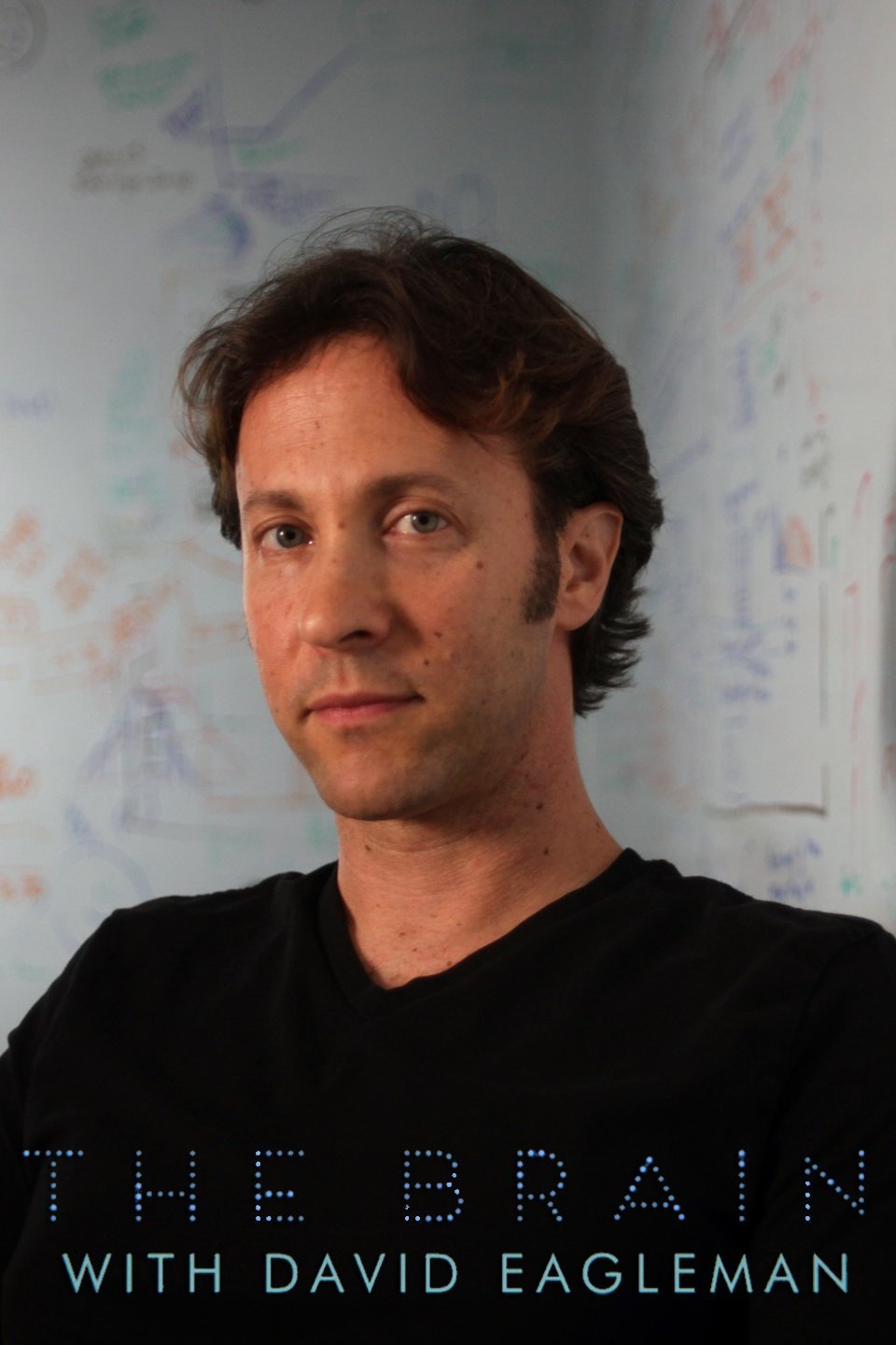 The Brain With David Eagleman - Rotten Tomatoes