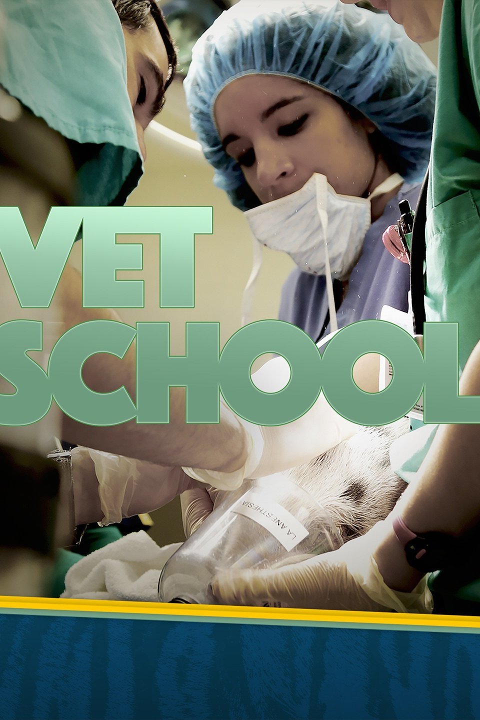 Vet School - Rotten Tomatoes
