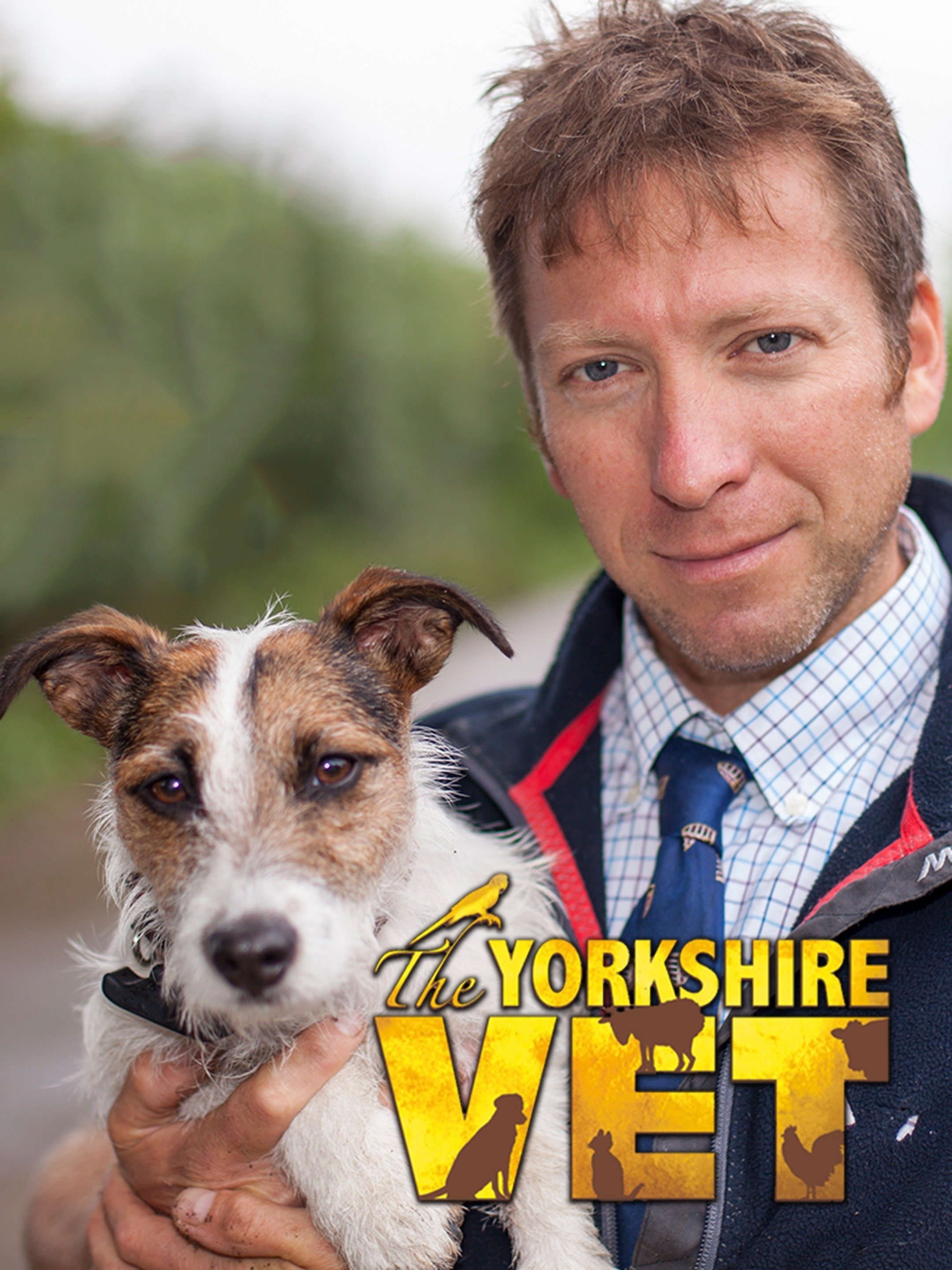 The Yorkshire Vet - Rotten Tomatoes