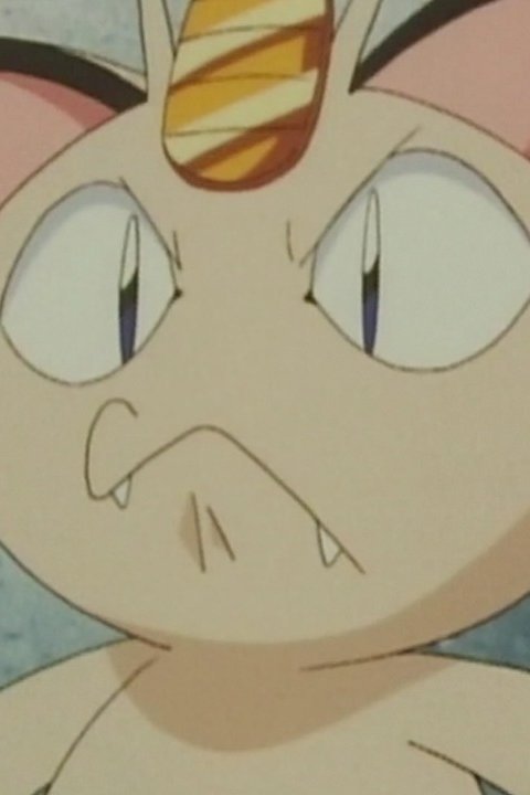 Meowth Rules! Pictures - Rotten Tomatoes