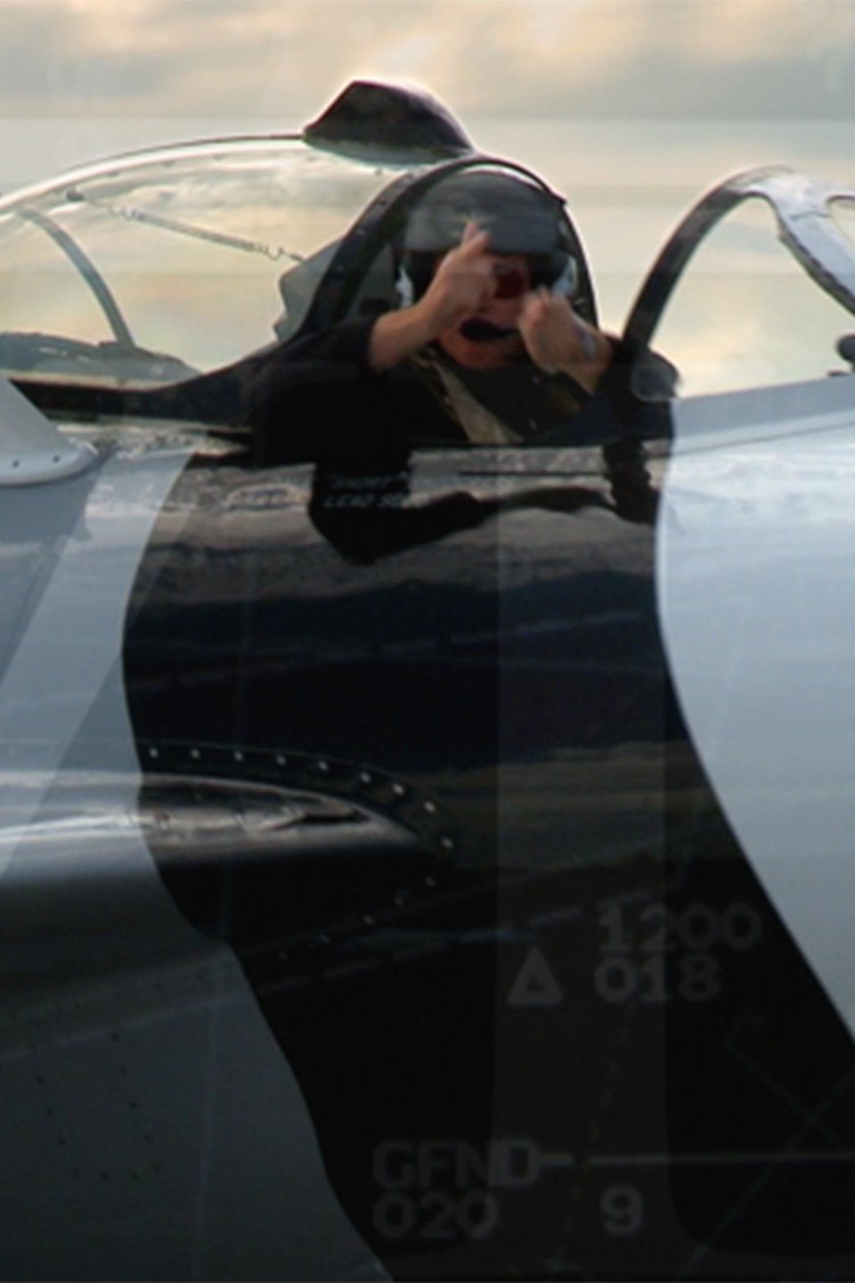 Flying Again/Aircraft Profile : The Aviat Husky Pictures - Rotten Tomatoes