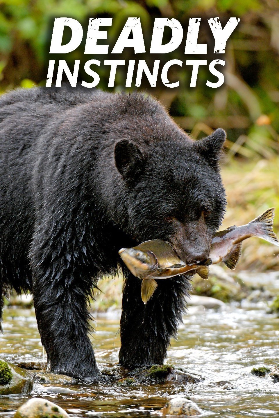 Deadly Instincts - Rotten Tomatoes