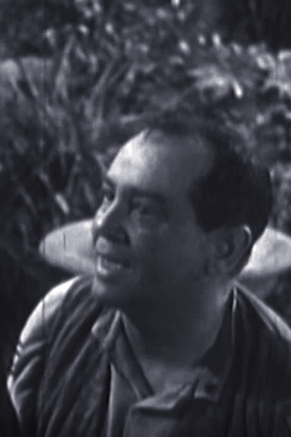 The Squatter Pictures - Rotten Tomatoes