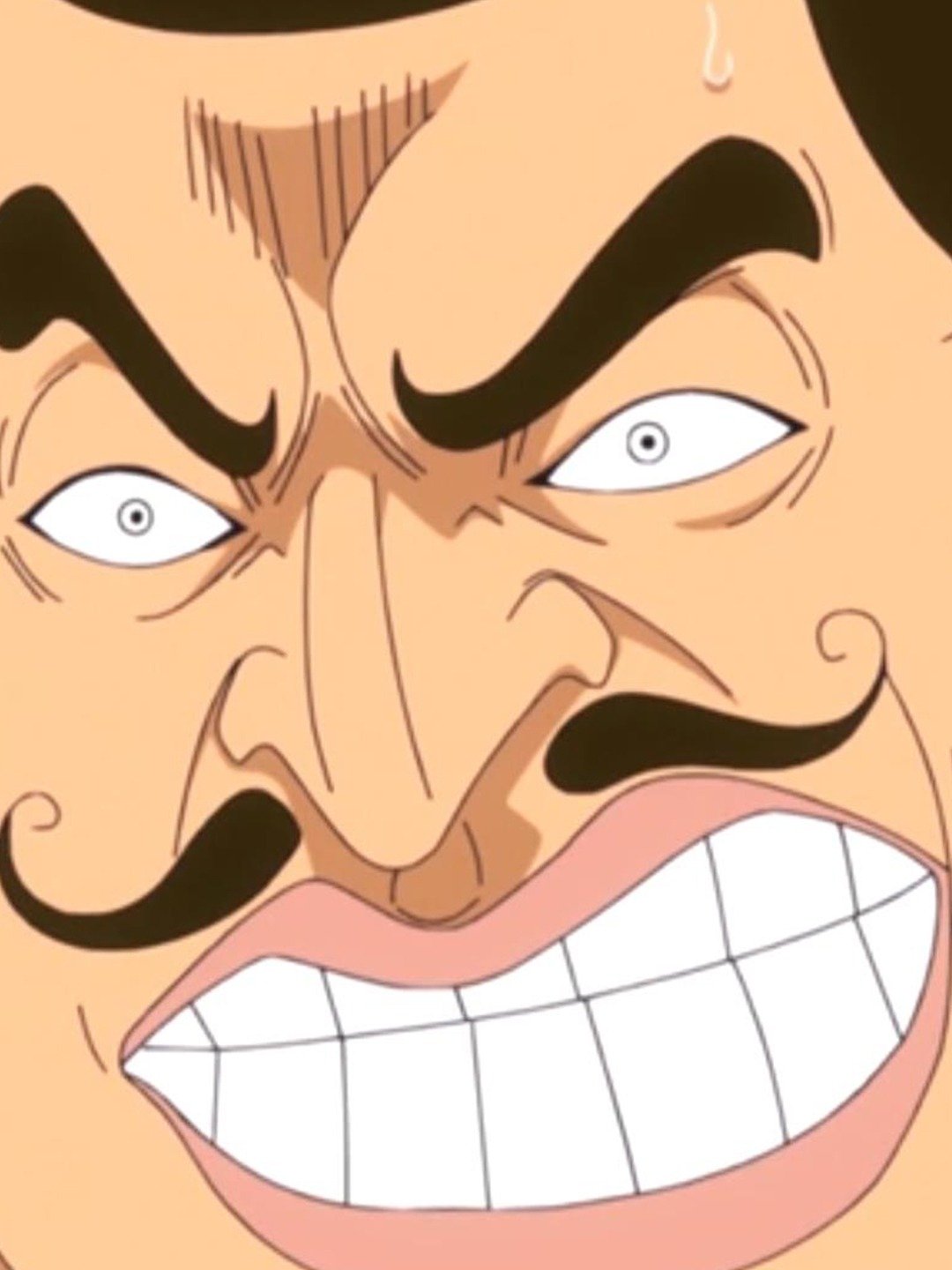 Bartolomeo One Piece Rookie