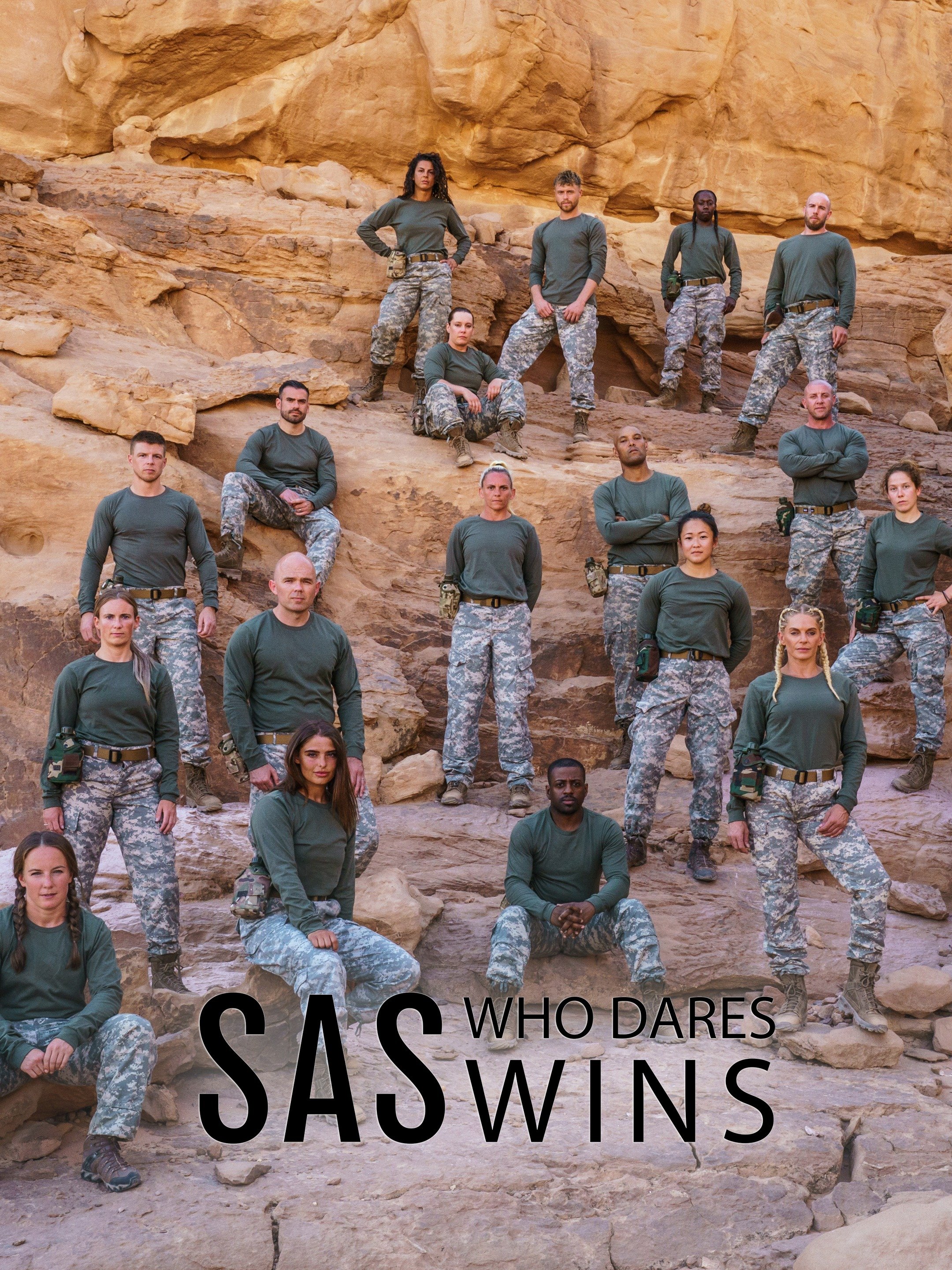 SAS: Who Dares Wins - Rotten Tomatoes