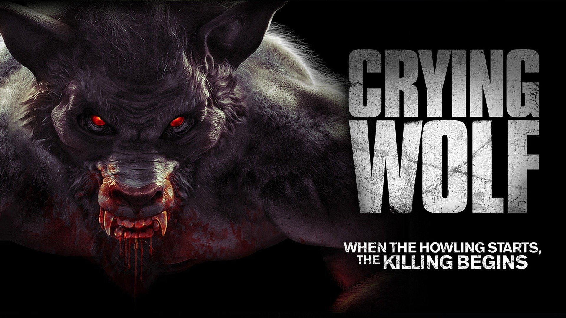 Crying Wolf Wallpaper
