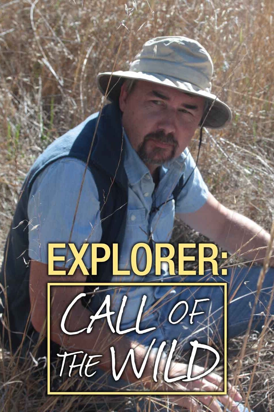 Explorer: Call of the Wild - Rotten Tomatoes