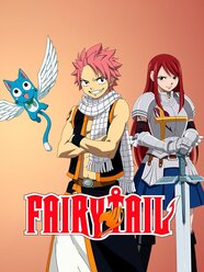 Details 76 Fairy Tail Anime Seasons Super Hot In coedo vn