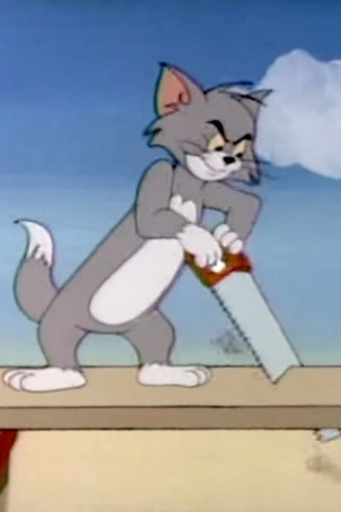 No Way Stowaway Pictures - Rotten Tomatoes