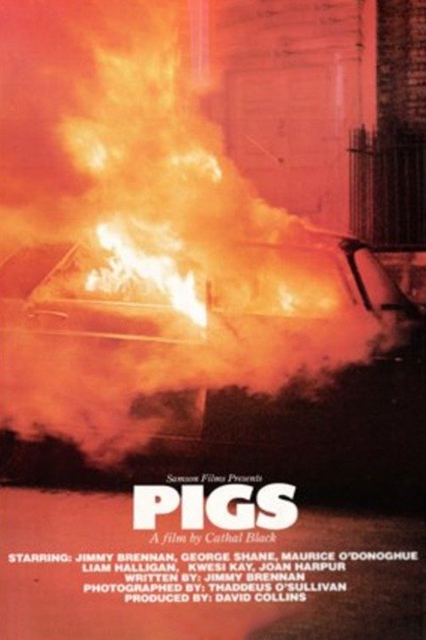 Pigs - Rotten Tomatoes