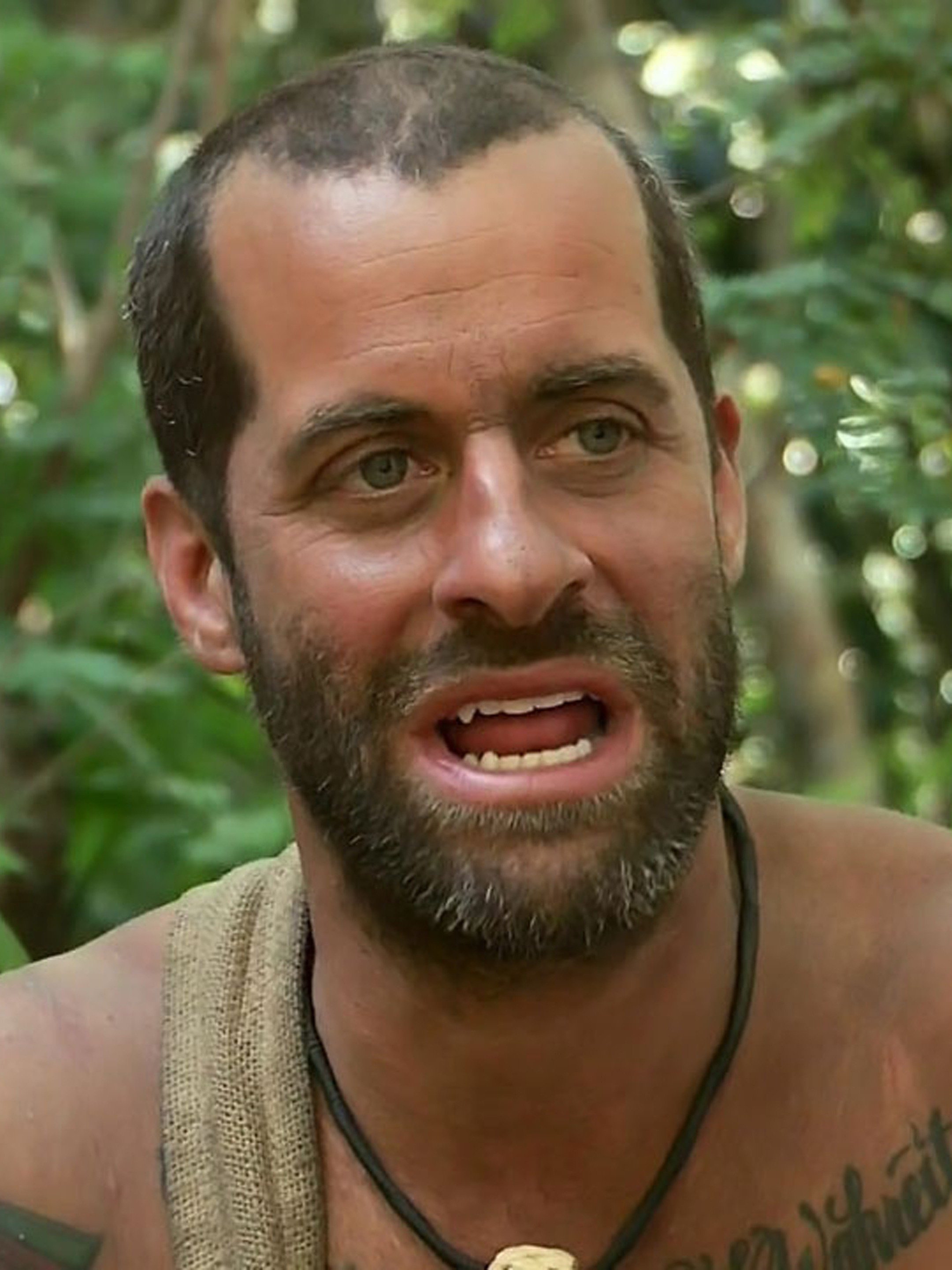 40 Days: Jungle Rich Pictures - Rotten Tomatoes