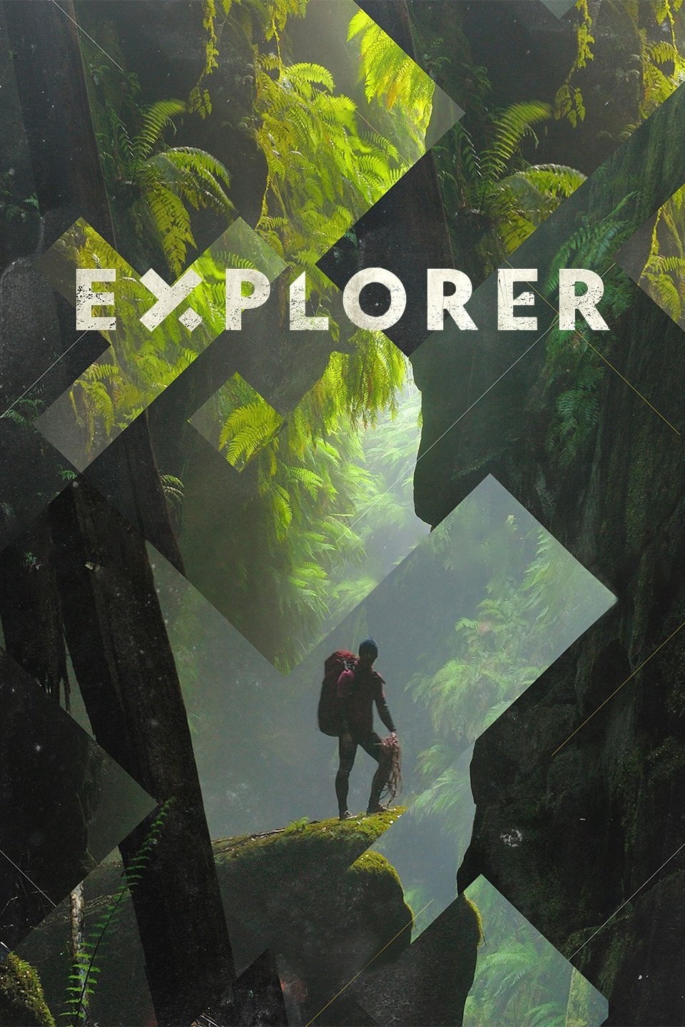Explorer - Rotten Tomatoes