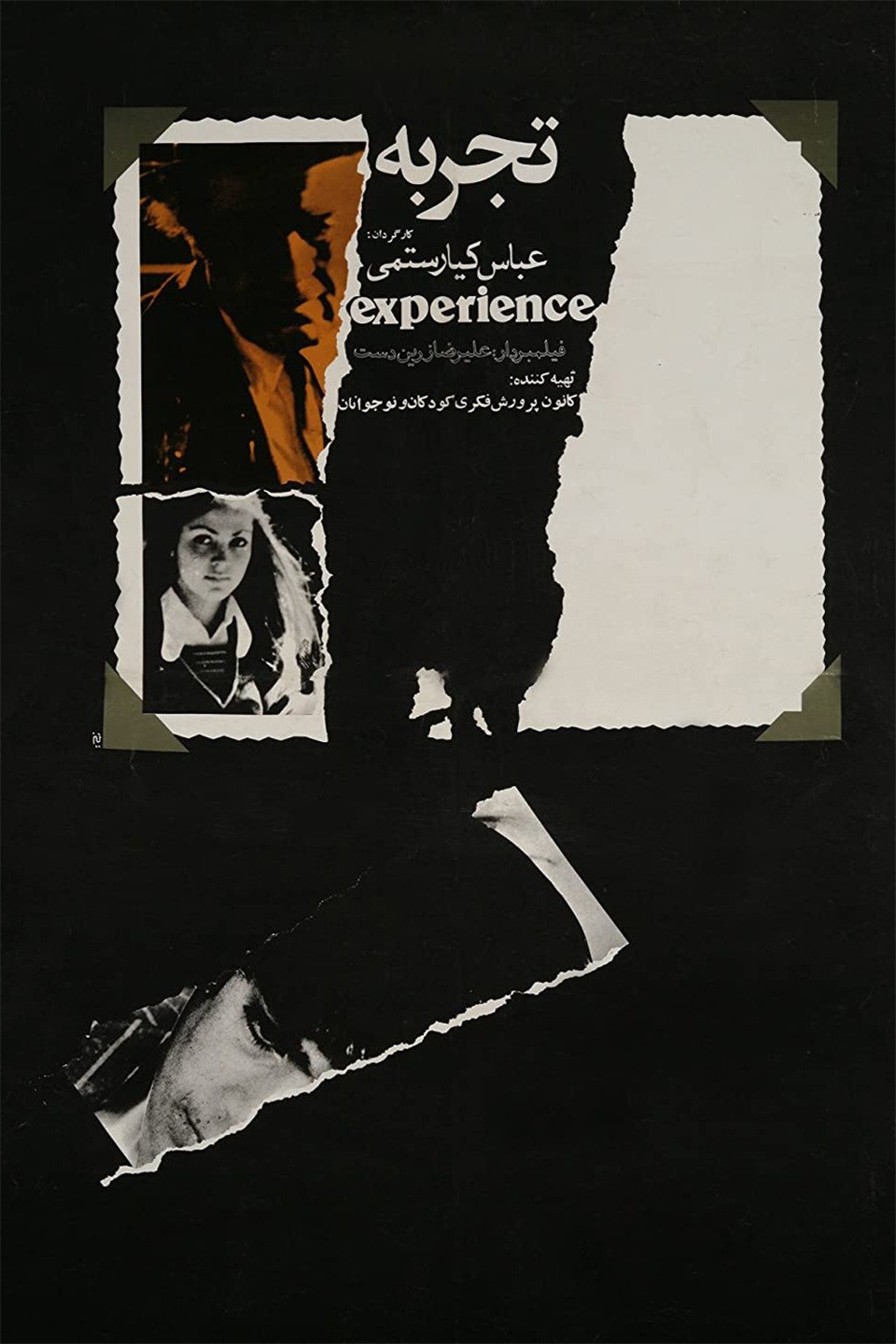The Experience - Rotten Tomatoes