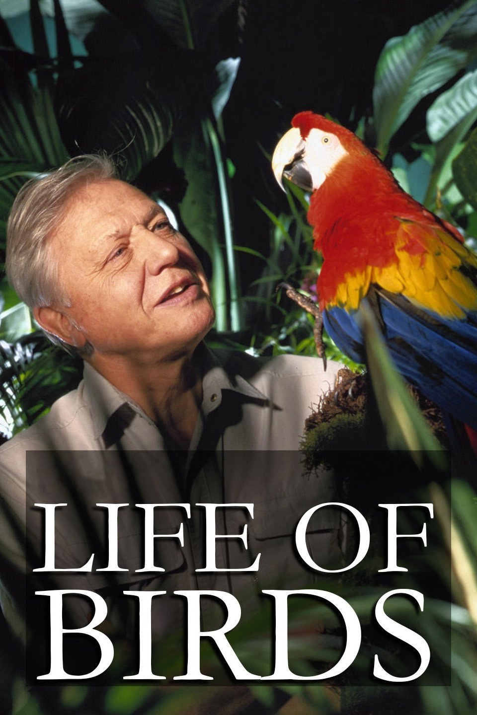 Life of Birds - Rotten Tomatoes