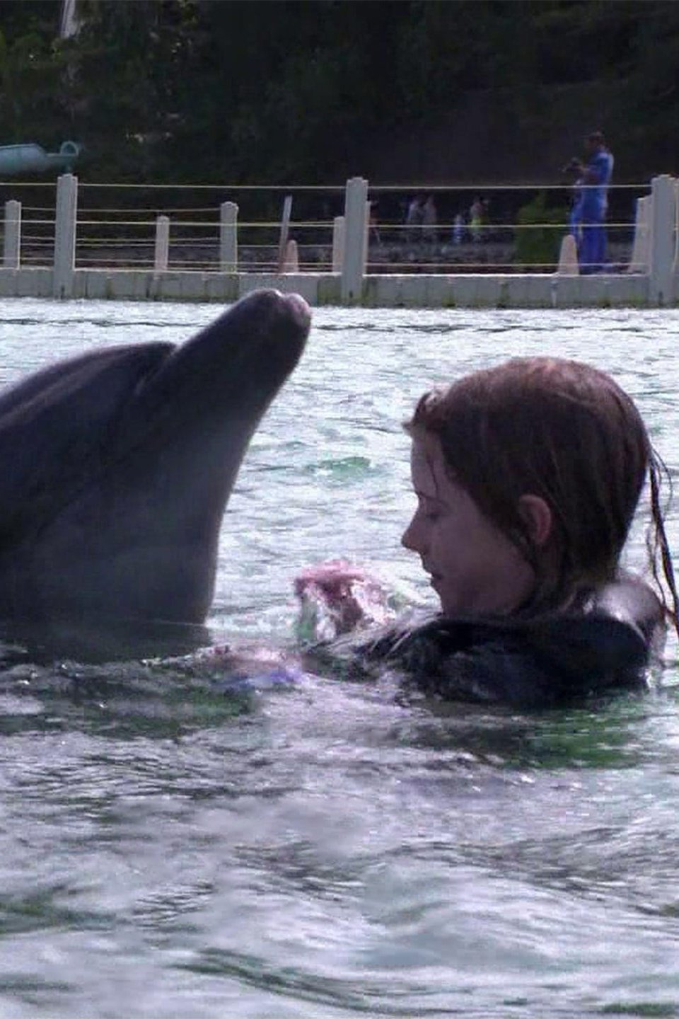 Magical Dolphins Pictures - Rotten Tomatoes