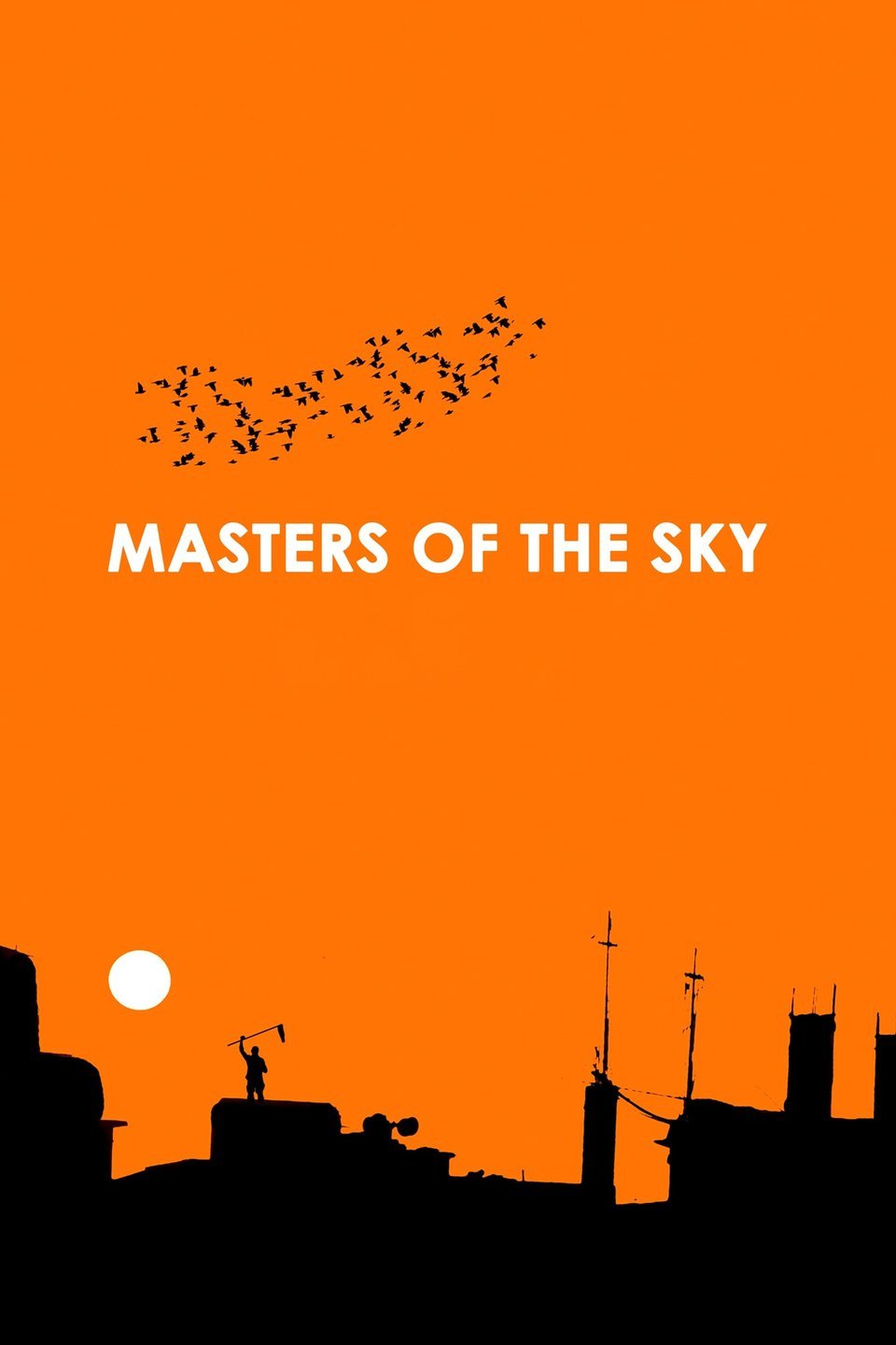 Masters of the Sky - Rotten Tomatoes