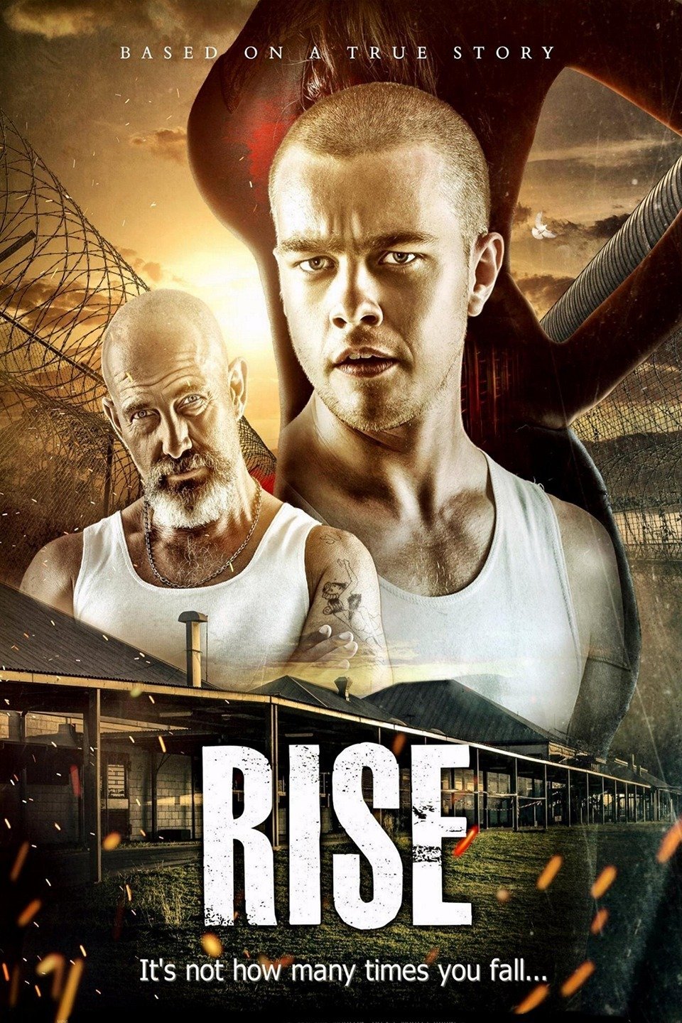 Rise - Rotten Tomatoes