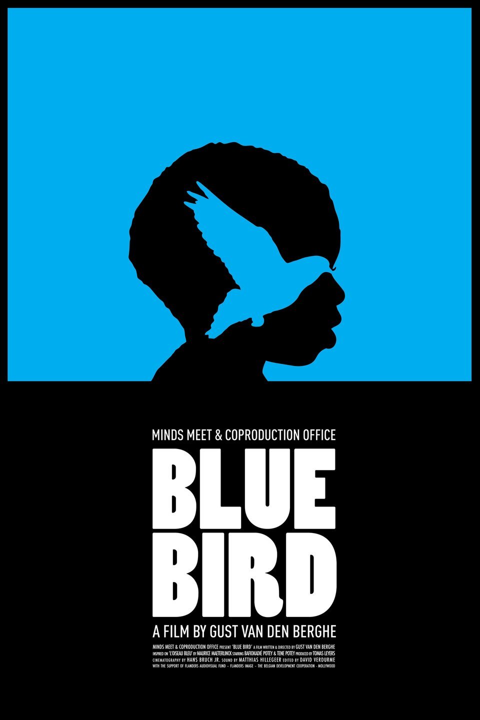 Blue Bird - Rotten Tomatoes