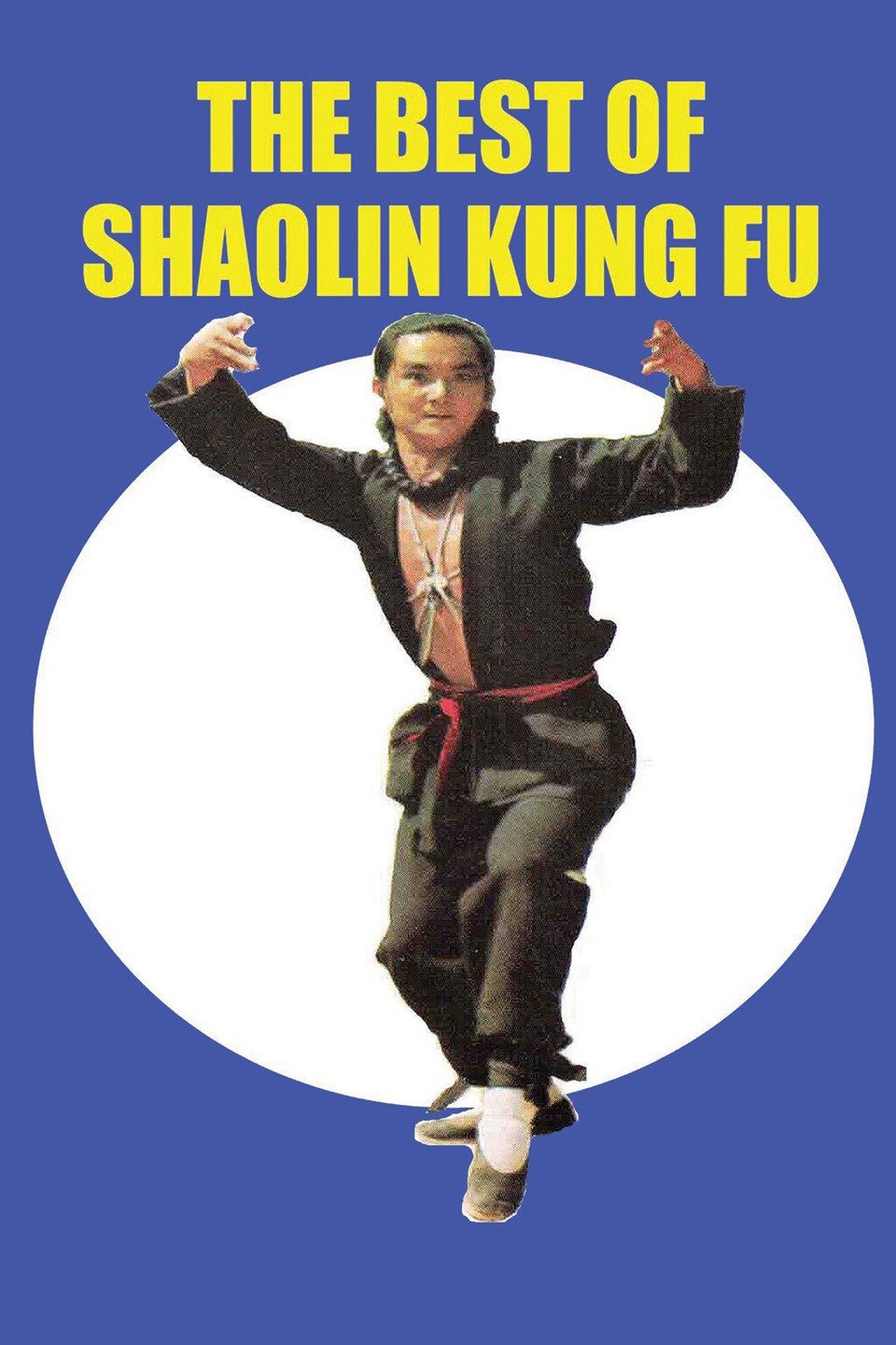 Wan fa gui zong yi Shao Lin (Best of Shaolin Kung Fu) - Movie Reviews