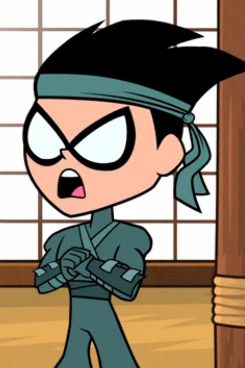 The Art of Ninjutsu Pictures - Rotten Tomatoes