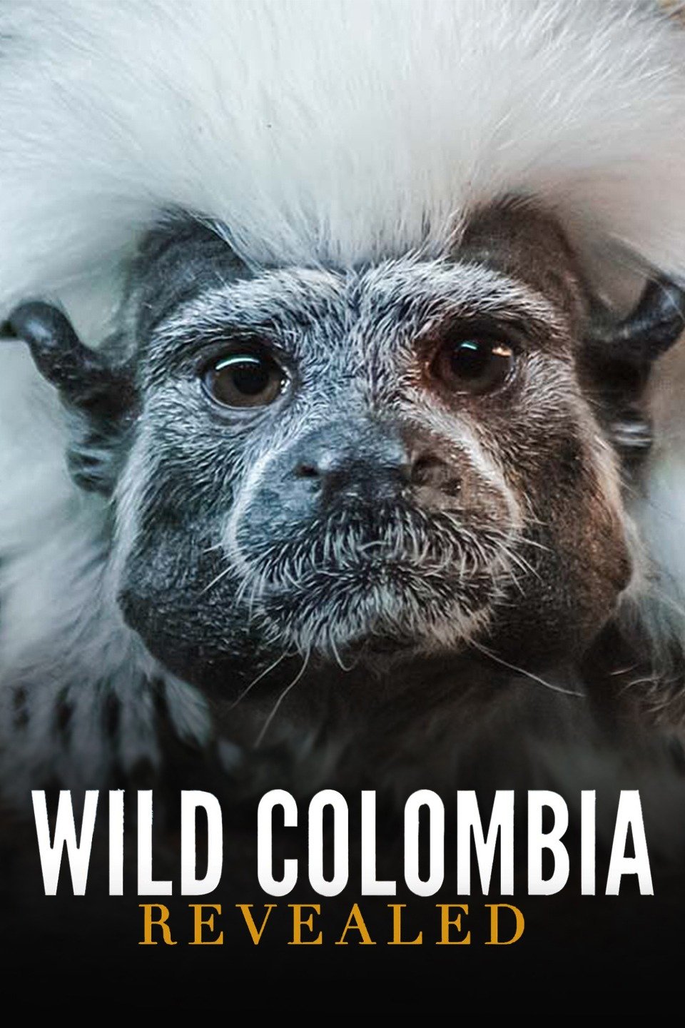Wild Colombia Revealed - Rotten Tomatoes
