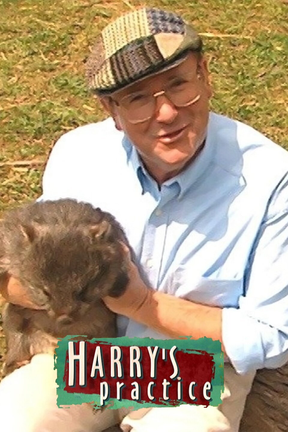 Harry's Practice - Rotten Tomatoes