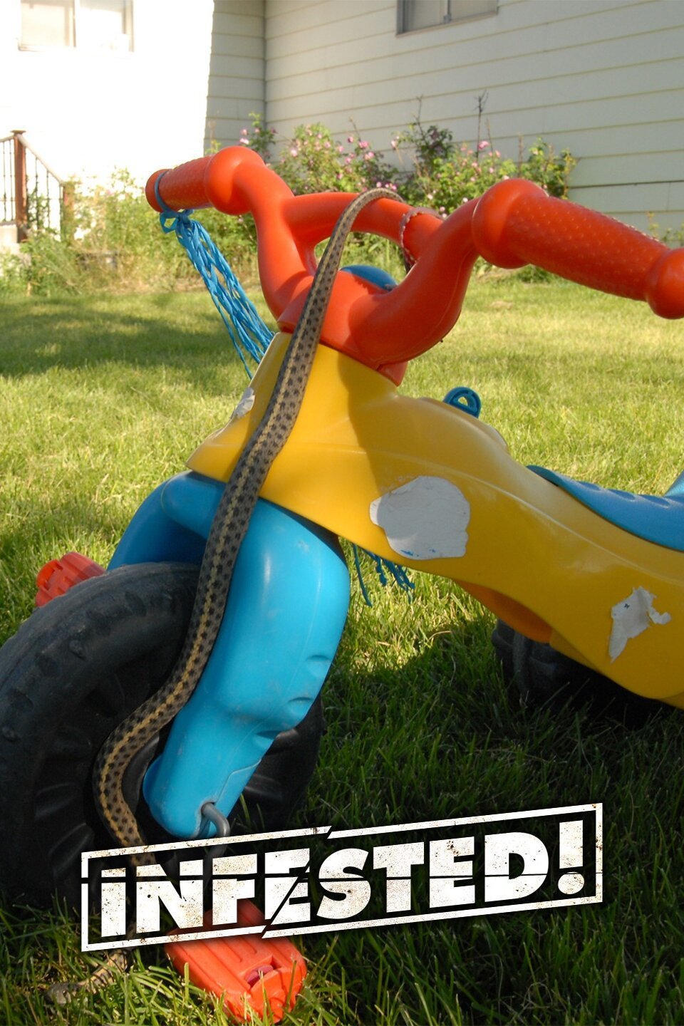 Infested! - Rotten Tomatoes