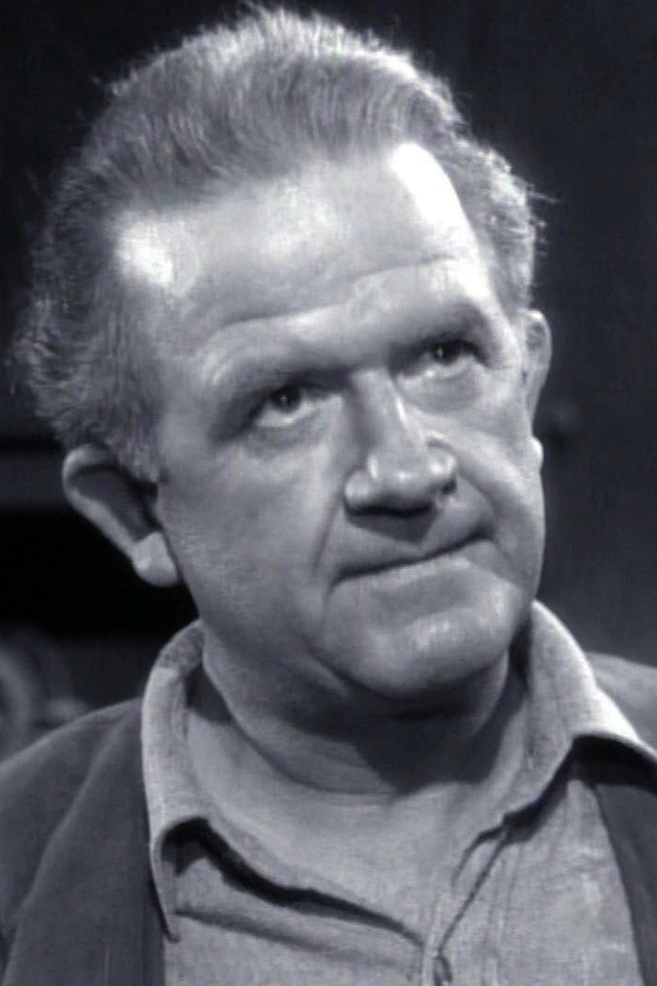 The Hawk Pictures - Rotten Tomatoes