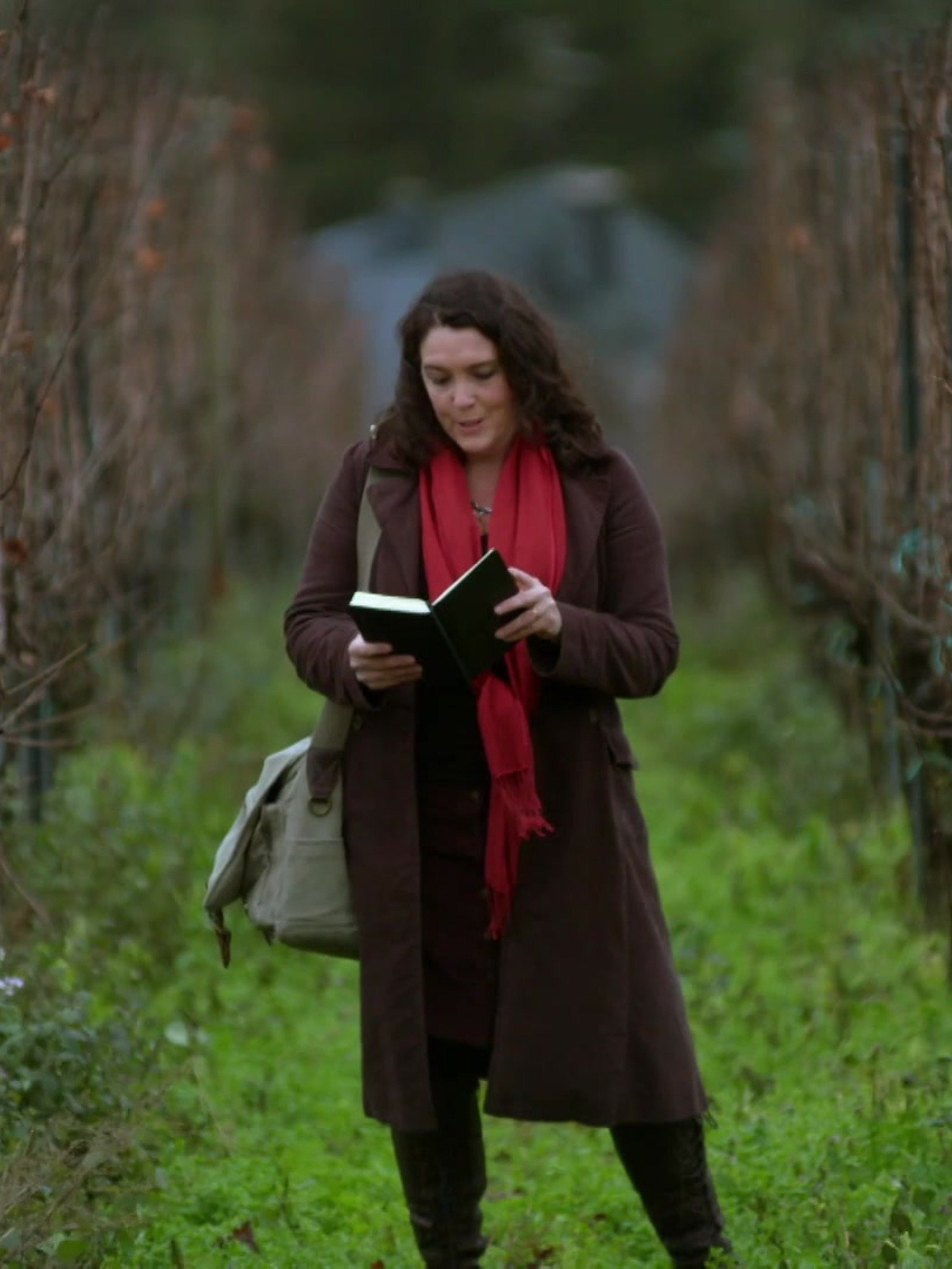 Marx Pictures - Rotten Tomatoes