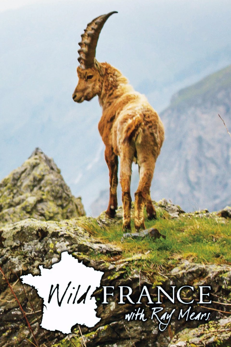 Wild France with Ray Mears: Season 1 Pictures - Rotten Tomatoes