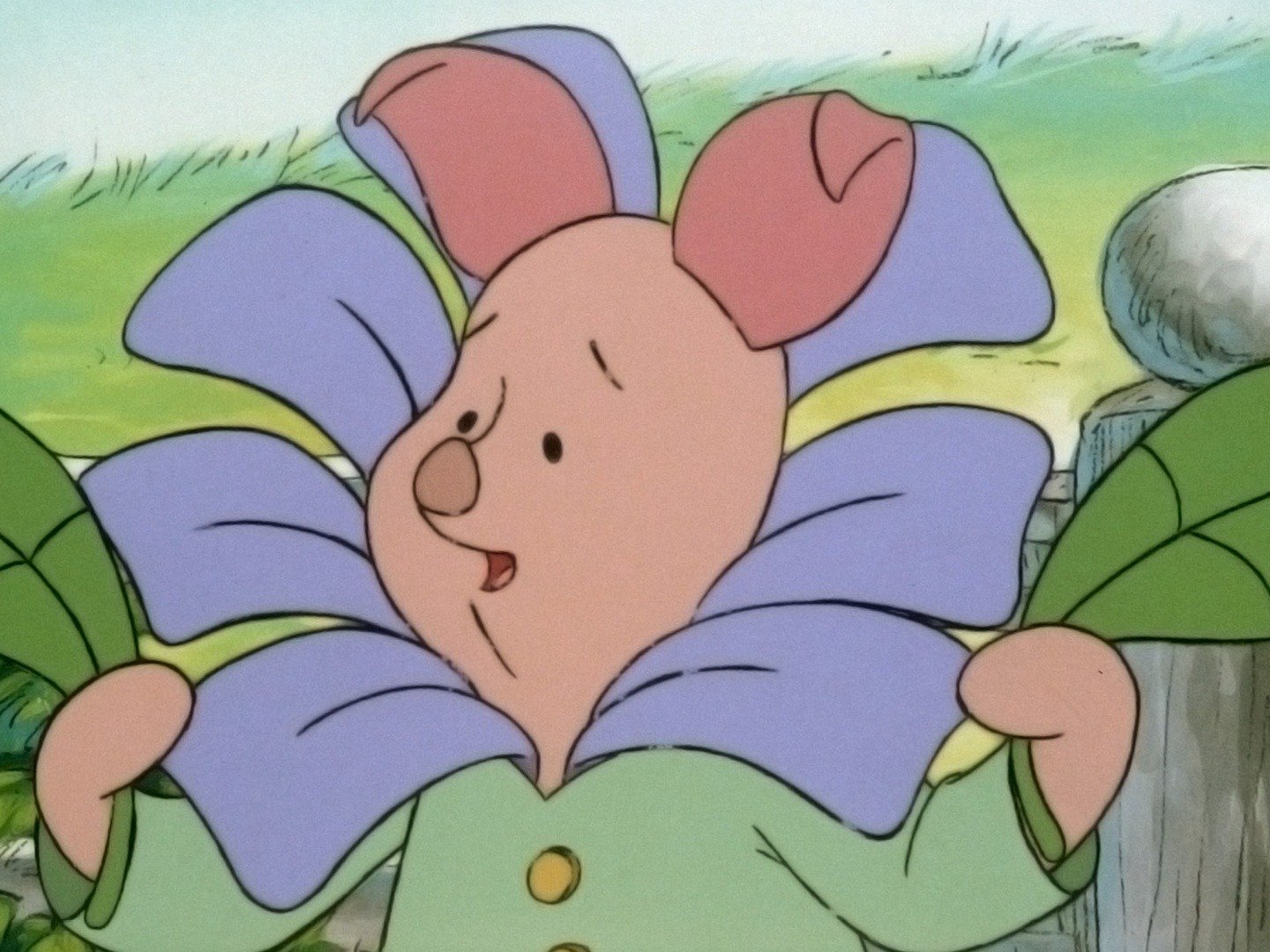 Piglet Crying